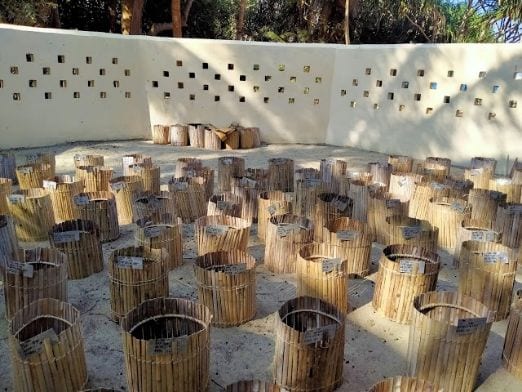 Ramnagar Beach, Neil Island - Things to Do, Timings & Photos