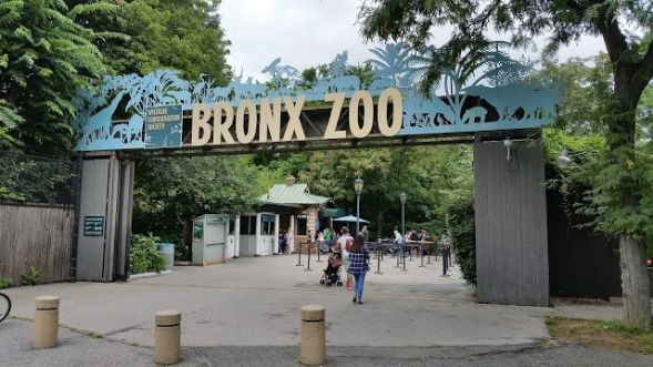 Bronx Zoo | New York - What to Expect | Timings | Tips - Trip Ideas by ...