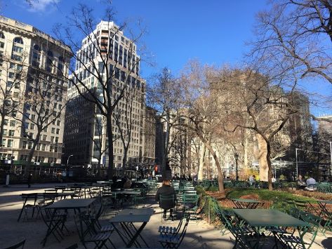 Shake Shack | New York - What to Expect | Timings | Tips - Trip Ideas ...