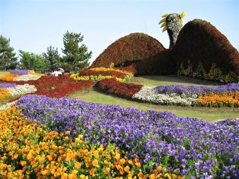 Awaji Island | Osaka - What to Expect | Timings | Tips - Trip Ideas by ...