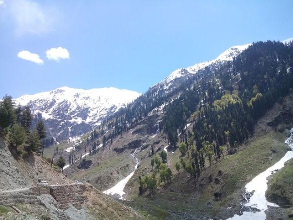 Aru Valley | Pahalgam - What to Expect | Timings | Tips - Trip Ideas by ...
