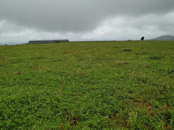 Table Land | Panchgani - What to Expect | Timings | Tips - Trip Ideas ...