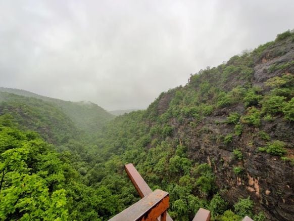Bee Falls | Pachmarhi - What to Expect | Timings | Tips - Trip Ideas by ...