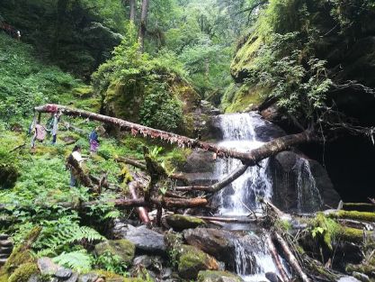 Chumphu Nye | Paro - What to Expect | Timings | Tips - Trip Ideas by ...