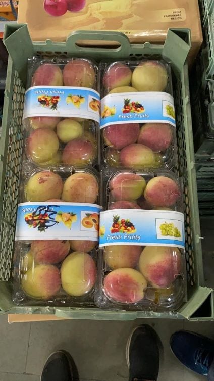 Fruit Orchards | Parwanoo - What to Expect | Timings | Tips - Trip ...