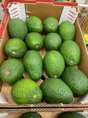 Fruit Orchards | Parwanoo - What to Expect | Timings | Tips - Trip ...