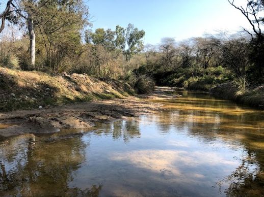 Sukhna Wildlife Sanctuary | Parwanoo - What to Expect | Timings | Tips ...