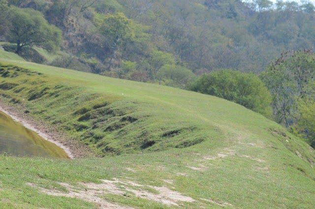 Sukhna Wildlife Sanctuary | Parwanoo - What to Expect | Timings | Tips ...