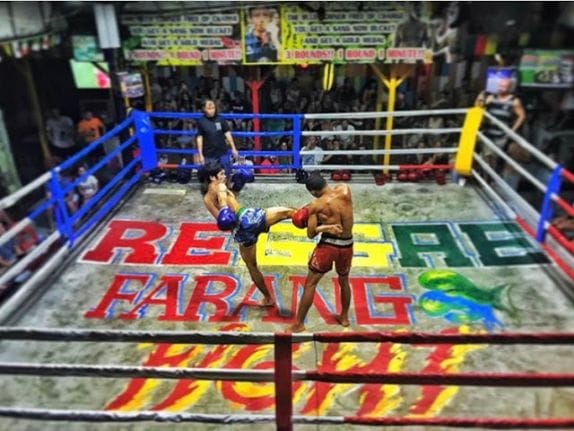 Watch a Muay Thai Fight | Phi Phi Islands - What to Expect | Timings ...