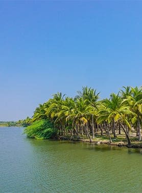 Pondicherry | Best Time to Visit | Things to Do | Travel, Stay ...