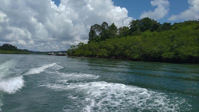 Exploring Baratang Island | Port Blair - What to Expect | Timings ...