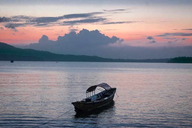 Birdwatching at Chidiya Tapu | Port Blair - What to Expect | Timings ...