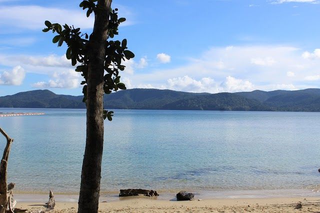 Birdwatching at Chidiya Tapu | Port Blair - What to Expect | Timings ...