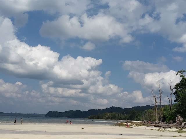 Scuba Diving at Jolly Buoy Island | Port Blair - What to Expect ...