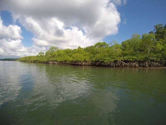 Scuba Diving at Jolly Buoy Island | Port Blair - What to Expect ...