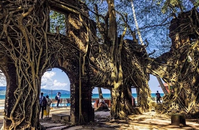 Ferry ride to Ross Island | Port Blair - What to Expect | Timings ...