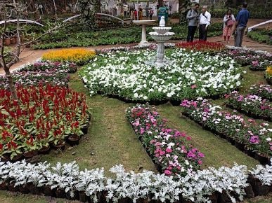 Empress Botanical Garden | Pune - What to Expect | Timings | Tips ...
