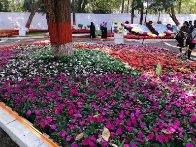 Empress Botanical Garden | Pune - What to Expect | Timings | Tips ...