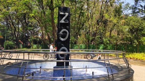 Visit the Famous Rajiv Gandhi Zoological Park | Pune - What to Expect ...