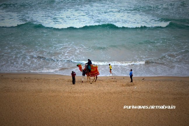 Puri Beach, Puri - Things to Do, Timings & Photos