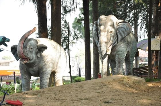 Ashiyana Park | Ranikhet - What to Expect | Timings | Tips - Trip Ideas ...