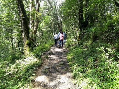 Bhalu Dam | Ranikhet - What to Expect | Timings | Tips - Trip Ideas by ...