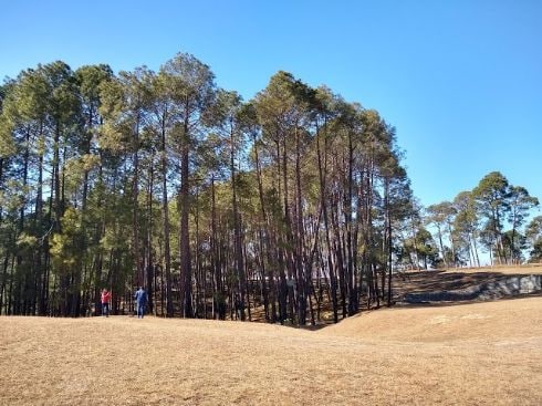 Upat Golf Course | Ranikhet - What to Expect | Timings | Tips - Trip ...