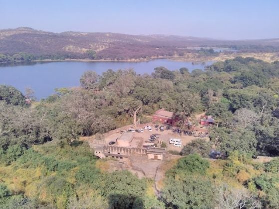 Jogi Mahal | Ranthambore - What to Expect | Timings | Tips - Trip Ideas ...