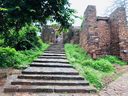 Jogi Mahal | Ranthambore - What to Expect | Timings | Tips - Trip Ideas ...