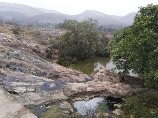 Kachida Valley | Ranthambore - What to Expect | Timings | Tips - Trip ...