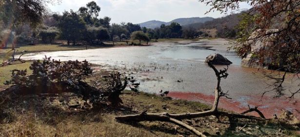 Kachida Valley | Ranthambore - What to Expect | Timings | Tips - Trip ...