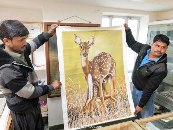 Ranthambore School of Art Society | Ranthambore - What to Expect ...