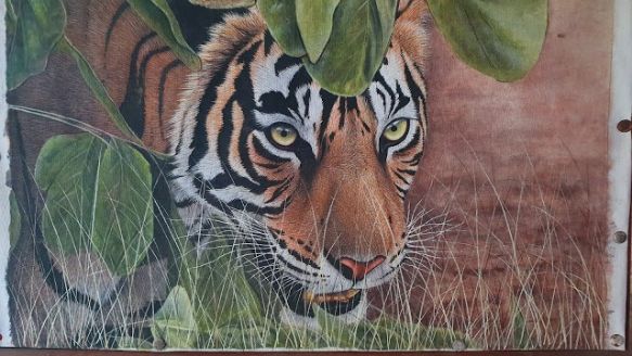 Ranthambore School of Art Society | Ranthambore - What to Expect ...