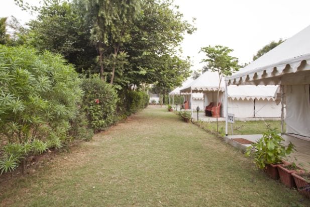 Tiger Machan Resort | Ranthambore - What to Expect | Timings | Tips ...