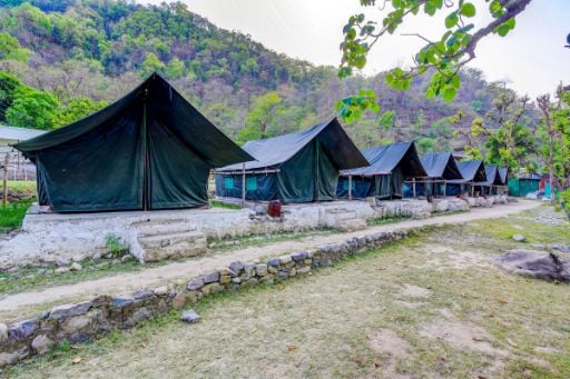 Camp TreePie | Rishikesh - What to Expect | Timings | Tips - Trip Ideas ...