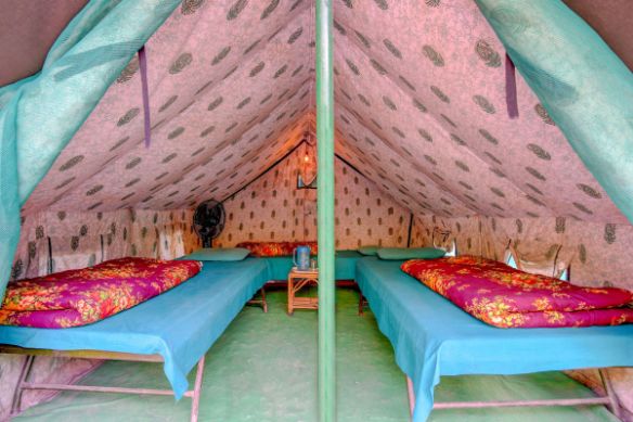 Camp TreePie | Rishikesh - What to Expect | Timings | Tips - Trip Ideas ...