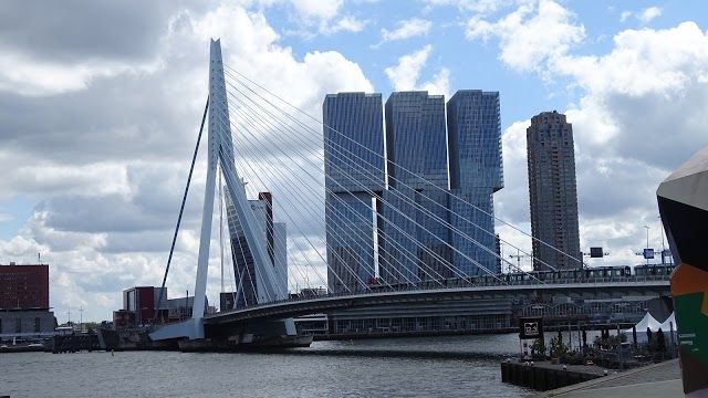 Explore Rotterdams Architecture | Rotterdam - What to Expect | Timings ...