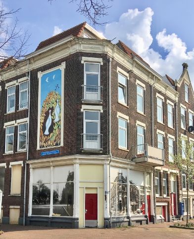 Katendrecht District | Rotterdam - What to Expect | Timings | Tips ...