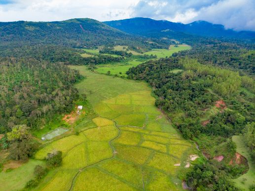 Sakleshpur | Best Time to Visit | Top Things to Do | Book Your Trip ...