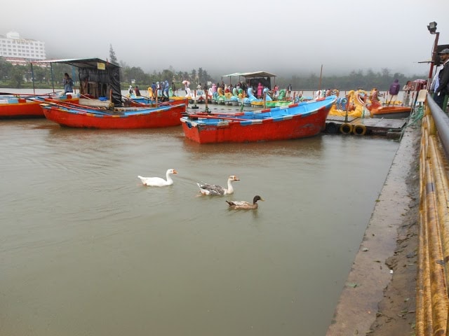 Saputara Lake | Saputara - What to Expect | Timings | Tips - Trip Ideas ...