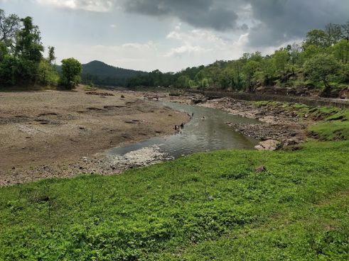 Vansda National Park, Saputara - Safari Timing, Ticket Fee & Photos