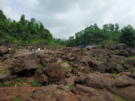 Vansda National Park, Saputara - Safari Timing, Ticket Fee & Photos