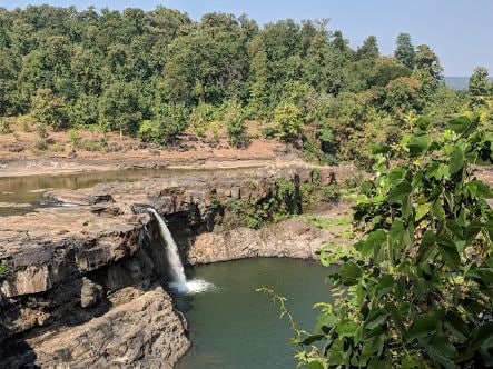 Vansda National Park, Saputara - Safari Timing, Ticket Fee & Photos