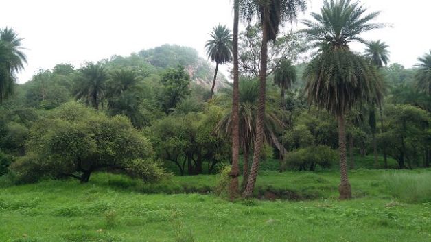 Hanuman Temple Of Pandupol, Sariska Tiger Reserve - Timing, History ...