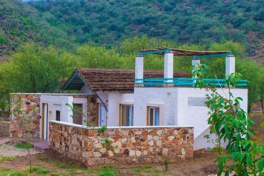 Trees and Tigers Resort | Sariska Tiger Reserve - What to Expect ...