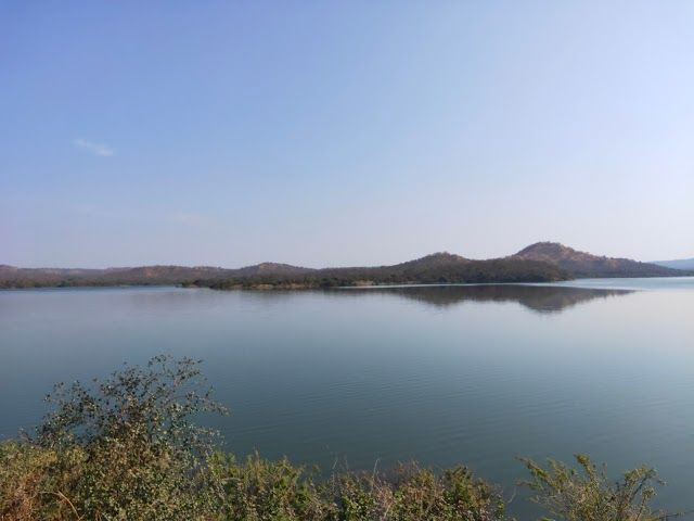 Gir National Park | Sasan Gir - What to Expect | Timings | Tips - Trip ...