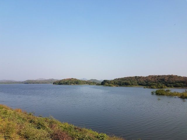 Kamleshwar Dam | Sasan Gir - What to Expect | Timings | Tips - Trip ...