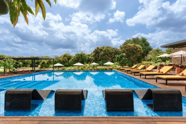 Woods at Sasan | Sasan Gir - What to Expect | Timings | Tips - Trip ...