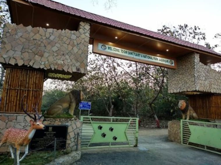 Gir National Park | Sasan Gir - What to Expect | Timings | Tips - Trip ...