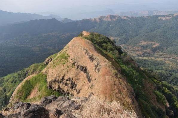 Koyna Wildlife Sanctuary | Satara - What to Expect | Timings | Tips ...